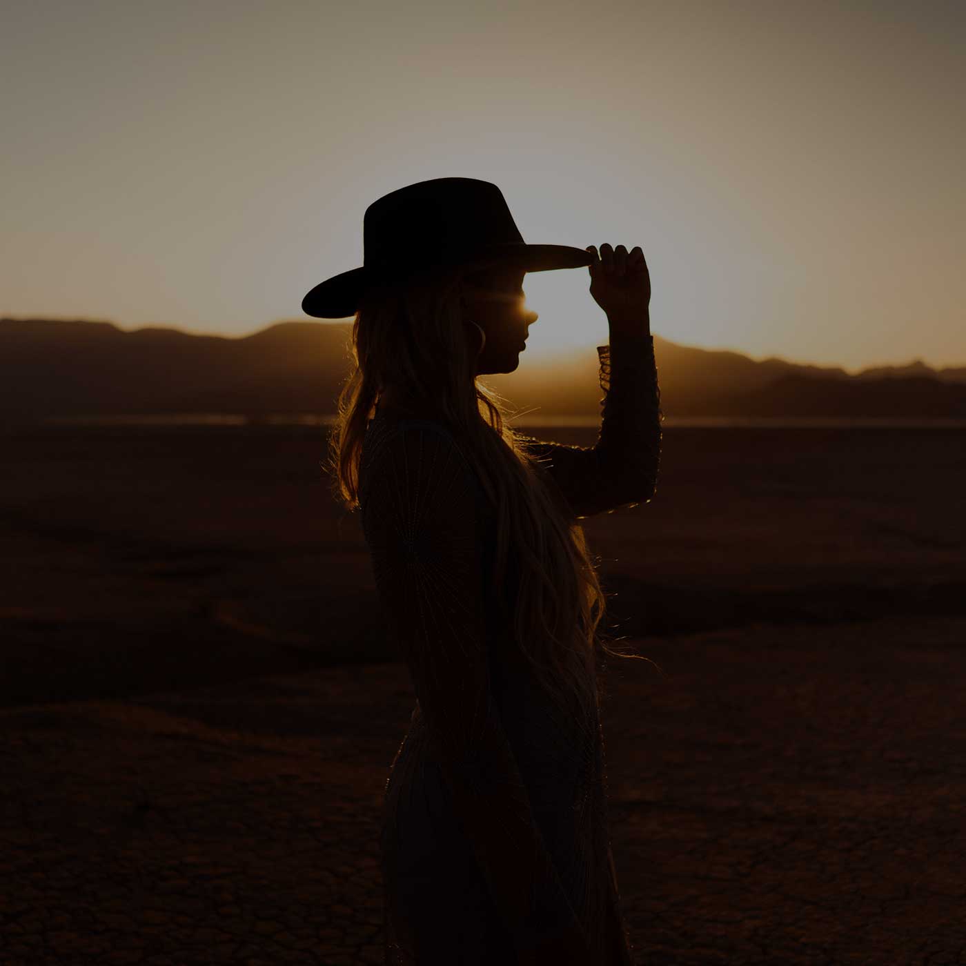 Big Hat Super-Premium Spirits – Big Hat Spirits